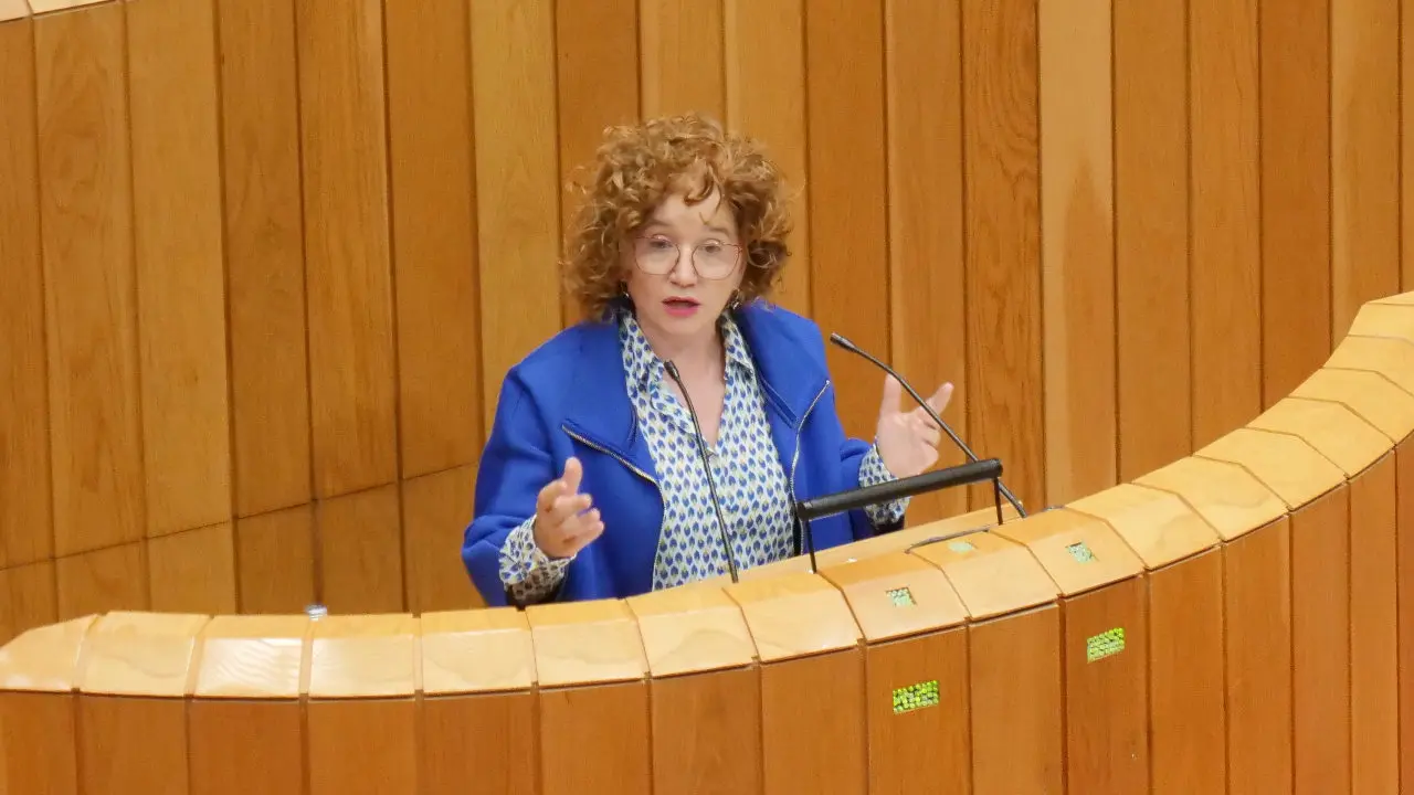 BNG recrimina á Xunta as consecuencias das súas políticas nunha ...